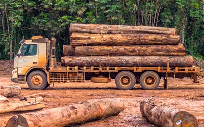 The SQL Server Transaction Log, Part 4: Log Records - SQLPerformance.com